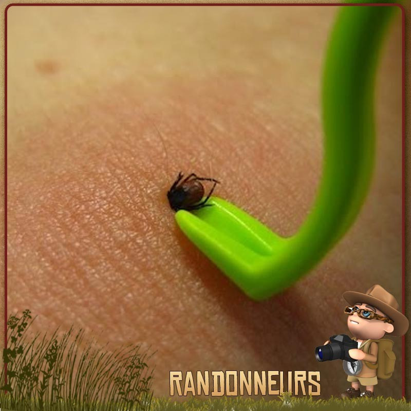 Mini Pince à Tiques Care Plus enlever tique randonnée bushcraft chien